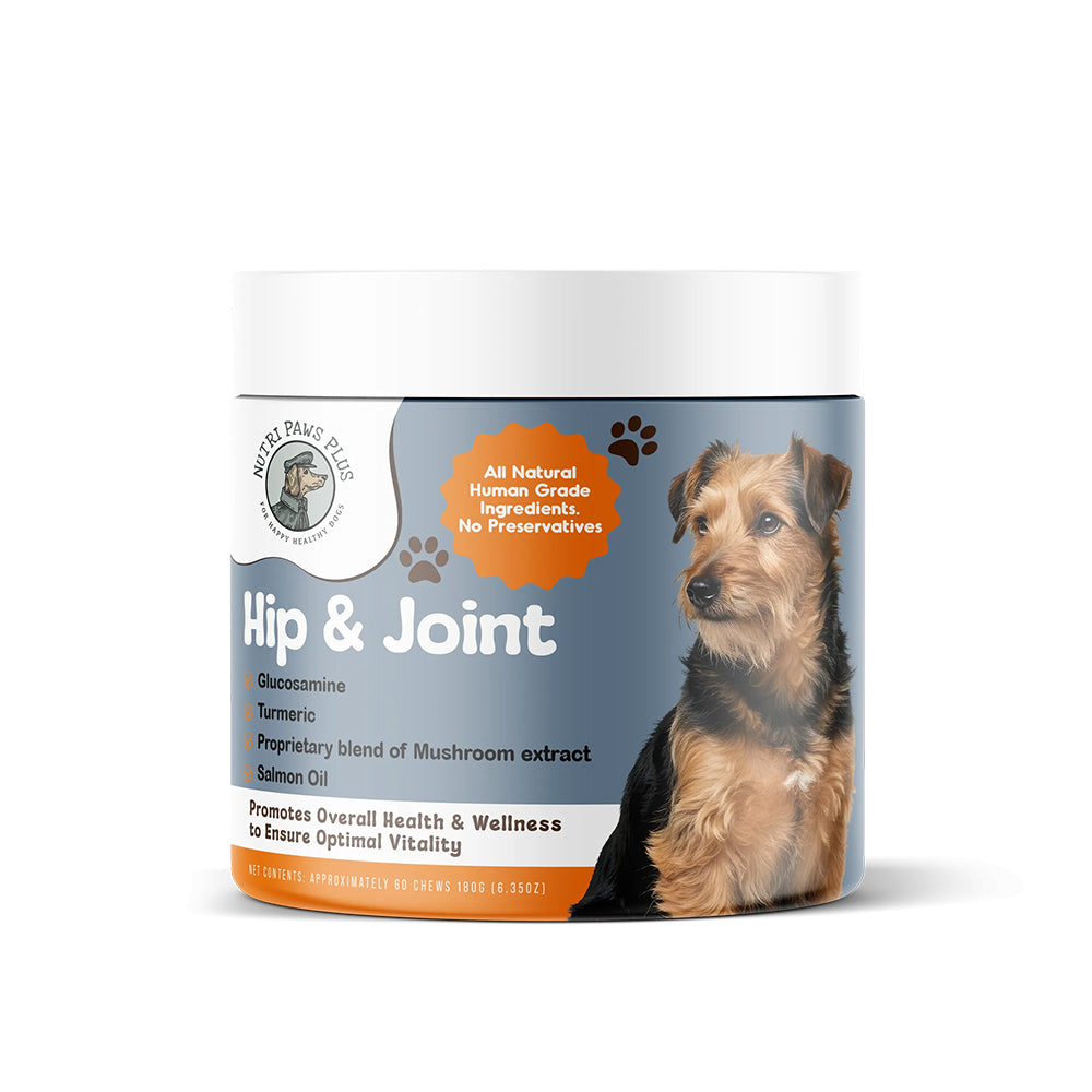 Hip & Joint Stack™ – Nutripawsplus